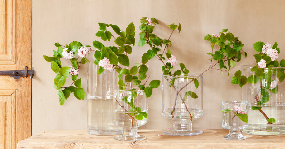 Collections | Flamant